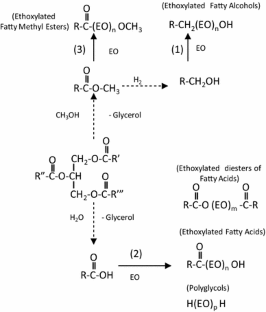 Catalysts for the Ethoxylation of Esters | SpringerLink