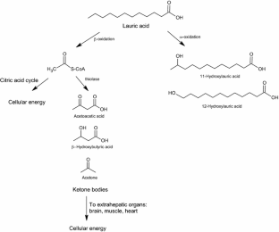 The Properties of Lauric Acid and Their Significance in Coconut Oil ...