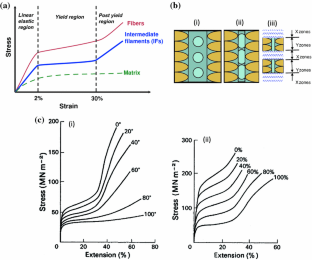 The Structure, Functions, and Mechanical Properties of Keratin ...
