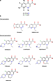 Update on Quinolone Allergy | SpringerLink