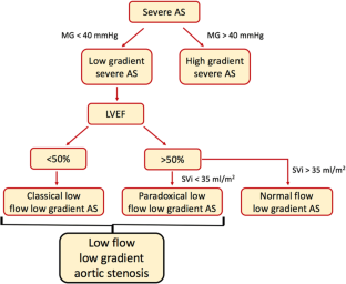 Imaging Strategies for Evaluating Low-Flow, Low-Gradient Aortic ...