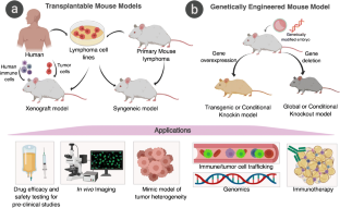 Development and Significance of Mouse Models in Lymphoma Research ...