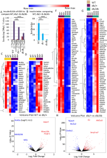 RNA-Seq Analysis of Islets to Characterise the Dedifferentiation in ...