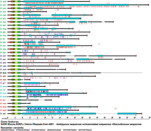 Conservation of gene architecture and domains amidst sequence ...