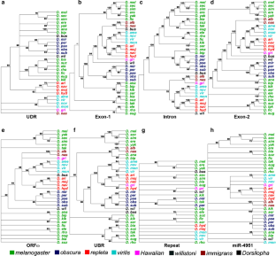 Conservation of gene architecture and domains amidst sequence ...
