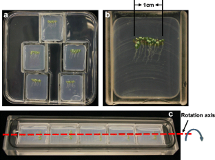 2-D Clinostat for Simulated Microgravity Experiments with Arabidopsis ...