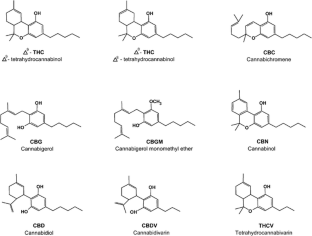 Evolution and Classification of Cannabis sativa (Marijuana, Hemp) in ...