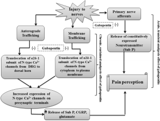 Implications and mechanism of action of gabapentin in neuropathic pain ...