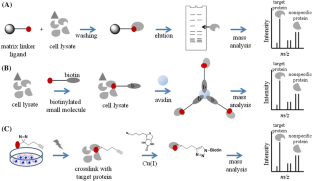 Target identification for biologically active small molecules using ...