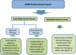 HER2-directed therapy: current treatment options for HER2-positive ...