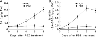 The Pathway and Regulation of Salicylic Acid Biosynthesis in ...