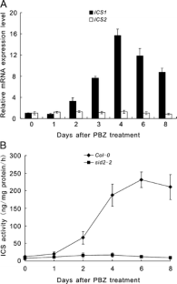 The Pathway and Regulation of Salicylic Acid Biosynthesis in ...