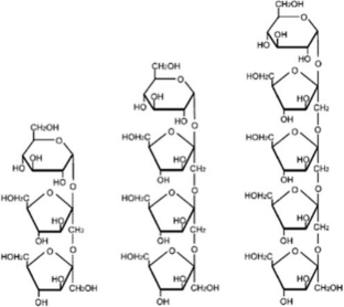 Manufacturing of Short-Chain Fructooligosaccharides: from Laboratory to ...