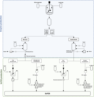 Manufacturing of Short-Chain Fructooligosaccharides: from Laboratory to ...