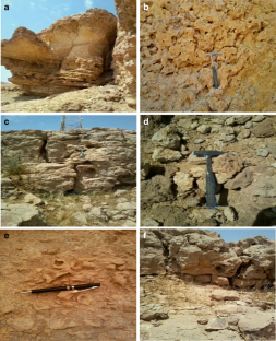 Stratigraphy and depositional environments of the Upper Cretaceous ...