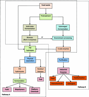 Enzyme Production from Food Wastes Using a Biorefinery Concept ...