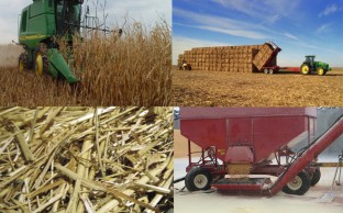 Modeling and Simulation of Corn Stover Gasifier and Micro-turbine for ...