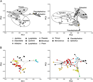 Evolutionary relationships of wing venation and wing size and shape in ...