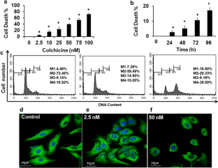 Colchicine induces autophagy and senescence in lung cancer cells at ...