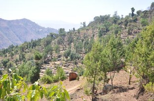 Long-Term Indigenous Soil Conservation Technology in the Chencha Area ...