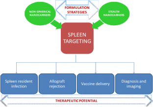Nanocarriers for spleen targeting: anatomo-physiological considerations ...