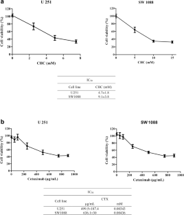 A novel strategy for glioblastoma treatment combining alpha-cyano-4 ...