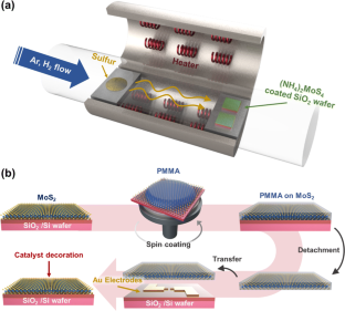 Pd- and Au-Decorated MoS 2 Gas Sensors for Enhanced Selectivity ...