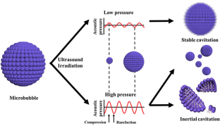 Microbubbles used for contrast enhanced ultrasound and theragnosis: a ...