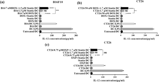 STAT3 inhibitory stattic enhances immunogenic cell death induced by ...