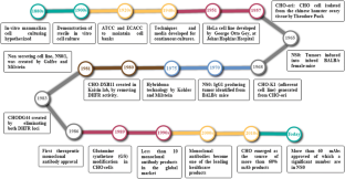 Recombinant Antibody Production in CHO and NS0 Cells: Differences and ...