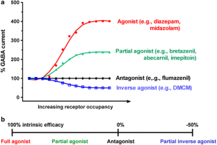 The Pharmacology of Imepitoin: The First Partial Benzodiazepine ...