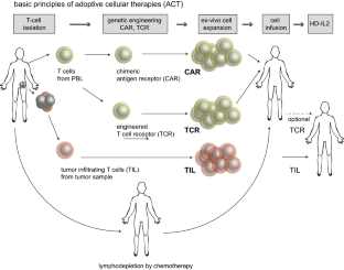 Safety and Tolerability of Adoptive Cell Therapy in Cancer | Drug Safety