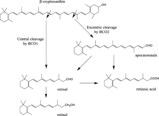 β-Cryptoxanthin: Chemistry, Occurrence, and Potential Health Benefits ...