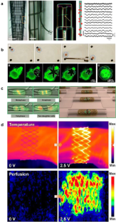 A Review on Hierarchical Origami and Kirigami Structure for Engineering Applications | SpringerLink