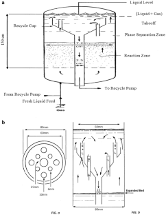 Hydrodynamic Study of an Ebullated-bed Reactor in the H-oil Process ...