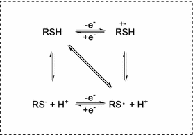 Sulfur Radicals and Their Application | SpringerLink