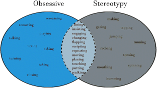 Topography and Function of Challenging Behaviors in Individuals with ...