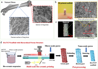 3D printing of hydroxyapatite/tricalcium phosphate scaffold with hierarchical porous structure ...