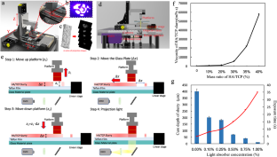 3D printing of hydroxyapatite/tricalcium phosphate scaffold with hierarchical porous structure ...