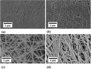 Bacterial cellulose-derived carbon nanofibers as anode for lithium-ion ...