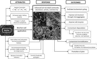 Response of microbial communities to biochar-amended soils: a critical review | SpringerLink