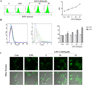 A novel marine halophenol derivative attenuates lipopolysaccharide ...