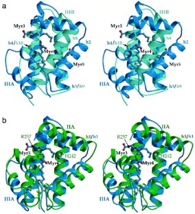 Crystal structure of human serum albumin complexed with fatty acid ...