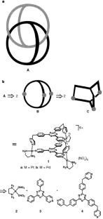 Spontaneous assembly of ten components into two interlocked, identical ...