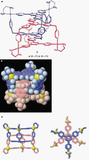 Spontaneous assembly of ten components into two interlocked, identical ...
