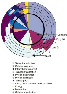 Genomics, gene expression and DNA arrays | Nature