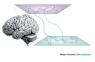The brainweb: Phase synchronization and large-scale integration | Nature Reviews Neuroscience