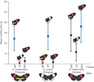 Reproductive isolation caused by colour pattern mimicry | Nature