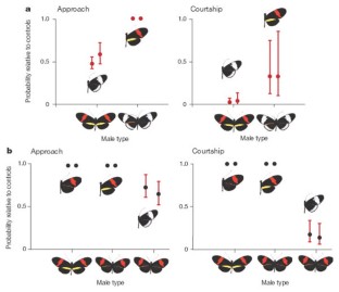Reproductive isolation caused by colour pattern mimicry | Nature