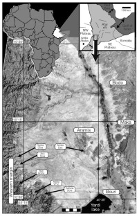 Geology and palaeontology of the Late Miocene Middle Awash valley, Afar ...